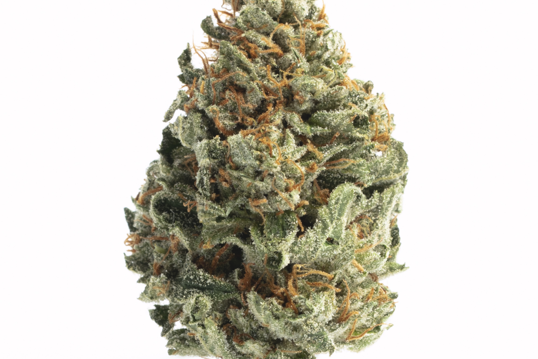 White Runtz | Go High Thai